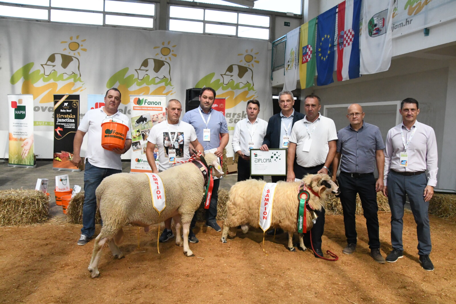 Provedba uzgojnih programa – Hrvatski savez uzgajivača ovaca i koza